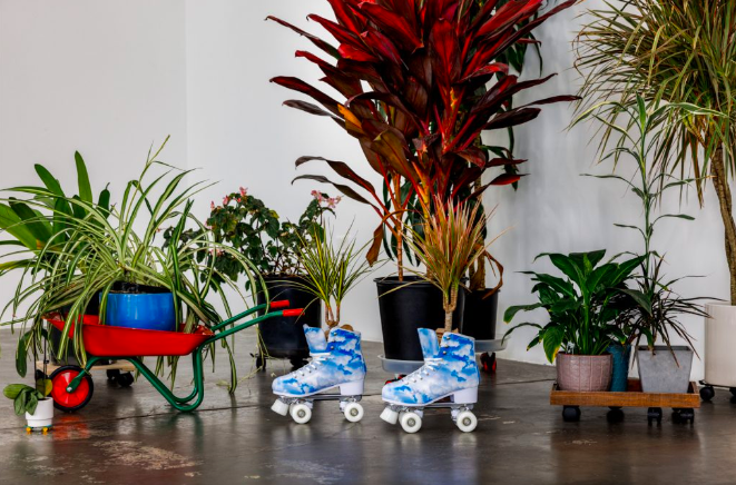 Our Shared Home | frida cano